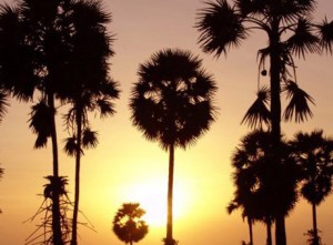 Caste in the Jaffna Peninsula | Thuppahi's Blog