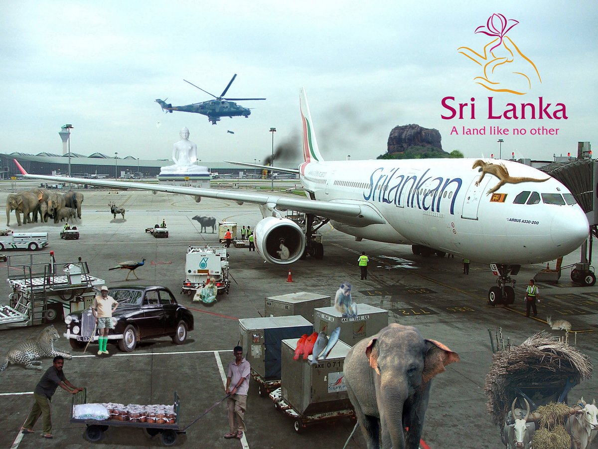 The Way to FLY! ….. WHERE to fly! | Thuppahi's Blog