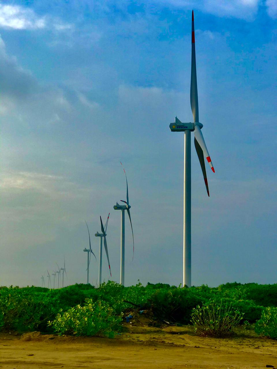 The Precious Landscape and the Beauties of Nature in Mannar …. Now ...