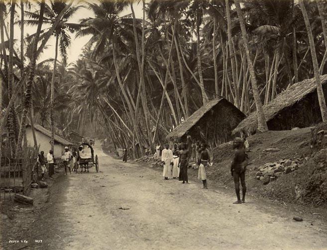 Roadside Scenery: British Ceylon in the Early 20th Century | Thuppahi's ...