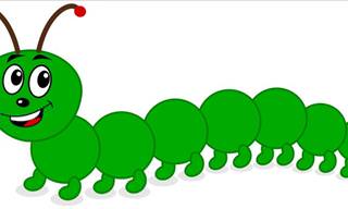 Perfection: The Centipede as Helpmate Pet | Thuppahi's Blog